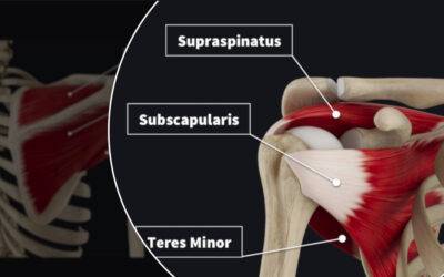 Rotator Cuff : Symptoms and Causes, Common Problems and Injuries ...